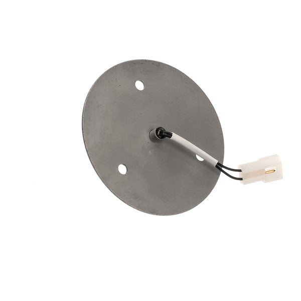 DCA RTD Assembly W/1 Cable Replacement 20319 for Gaylord Industries ...