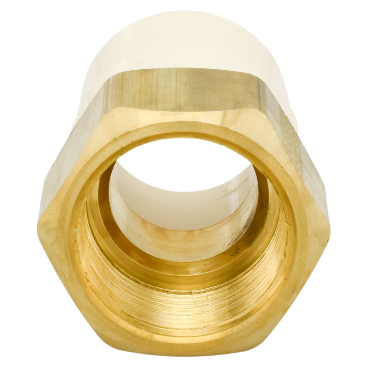 Charlotte Pipe CTS02105L1400 1-1/2 - CPVC Adapter (Female) - Slip x FI ...