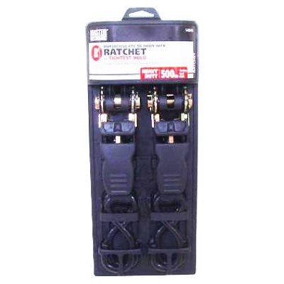 TRUE VALUE MM40 Master Mechanic 2-Pack 1-Inch x 8-Ft. Cycle Ratchet Tie ...